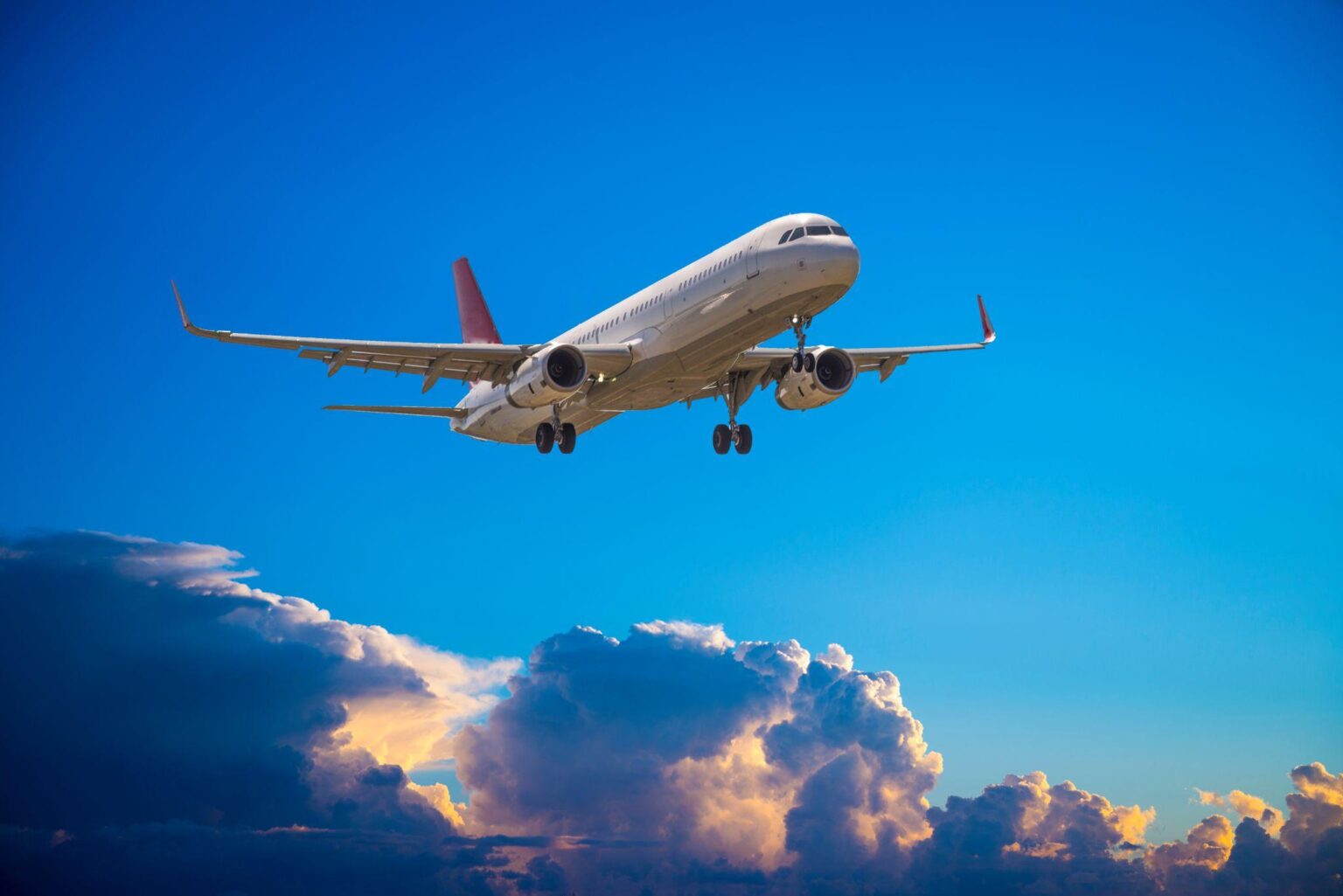 A320 Type Rating Questions: What You Need to Know | Kingsky FA